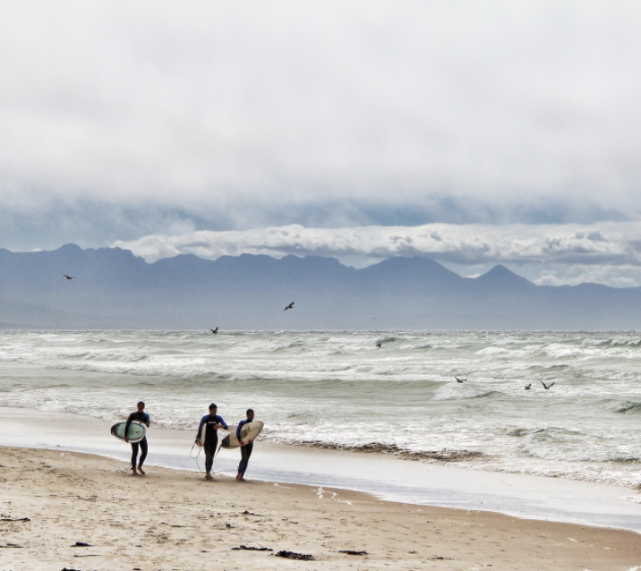 Surfing – International Sports Engineering Association